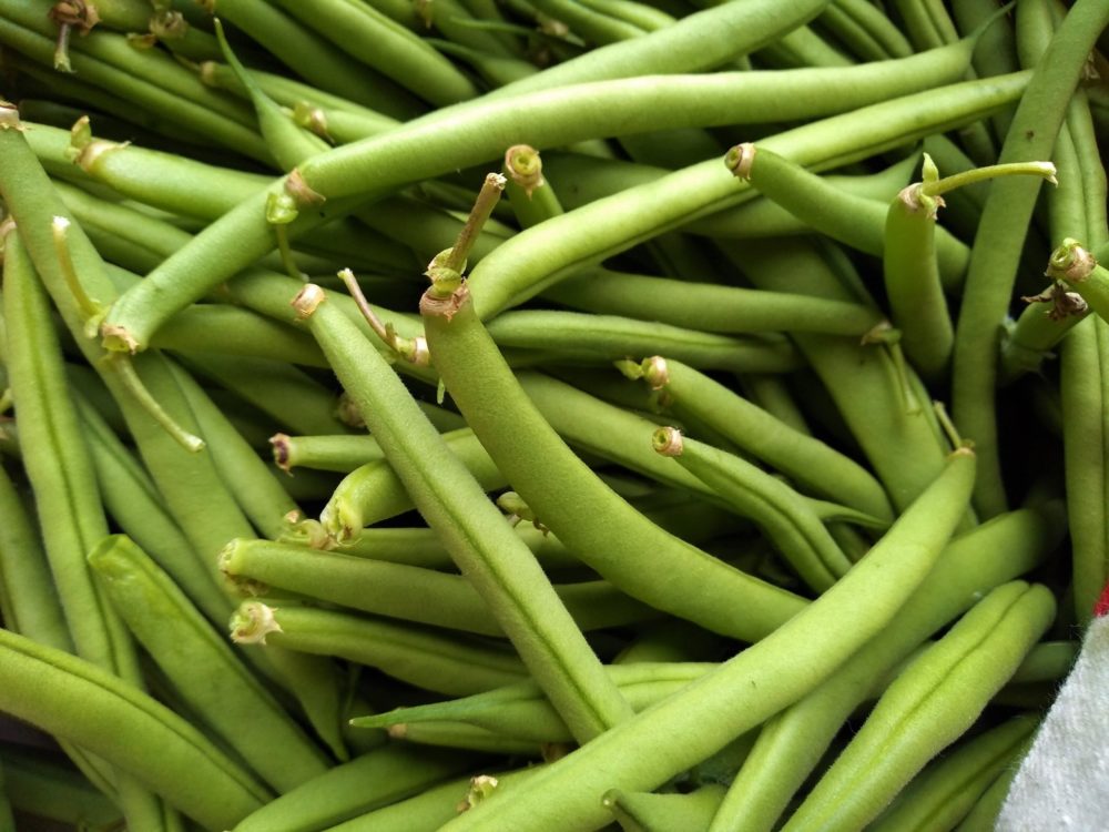 Week 7 - Last Week of July – Enumclaw Plateau Farmers’ Market